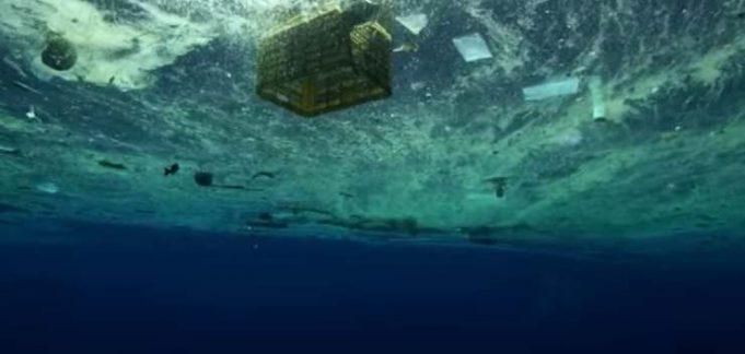 Netflix, i migliori documentari su natura e animali: i titoli più visti ...